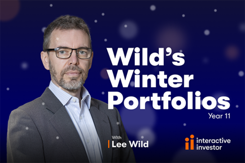 Wild’s Winter Portfolios 2024: winning stocks revealed
